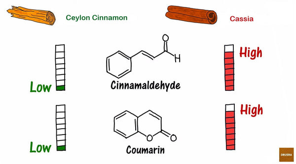 FAQ complète sur la cannelle de Ceylan : réponses à vos 20 principales