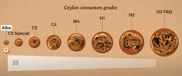 What is Alba Ceylon Cinnamon and Why is it So Scarce and Valuable?